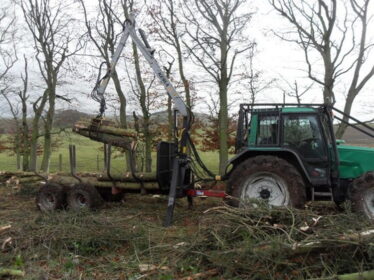 Forestry - Ford and Etal