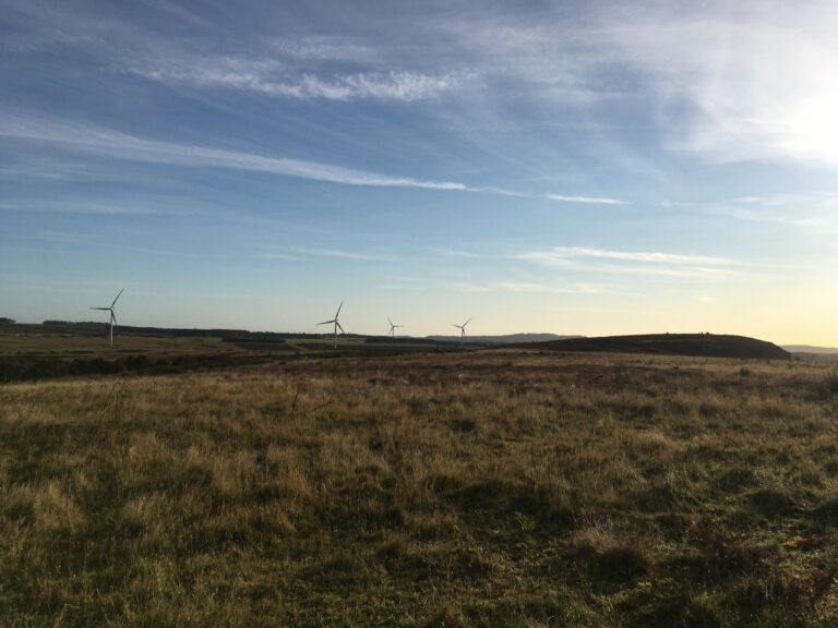 Ford Moss Nature Reserve and Colliery
