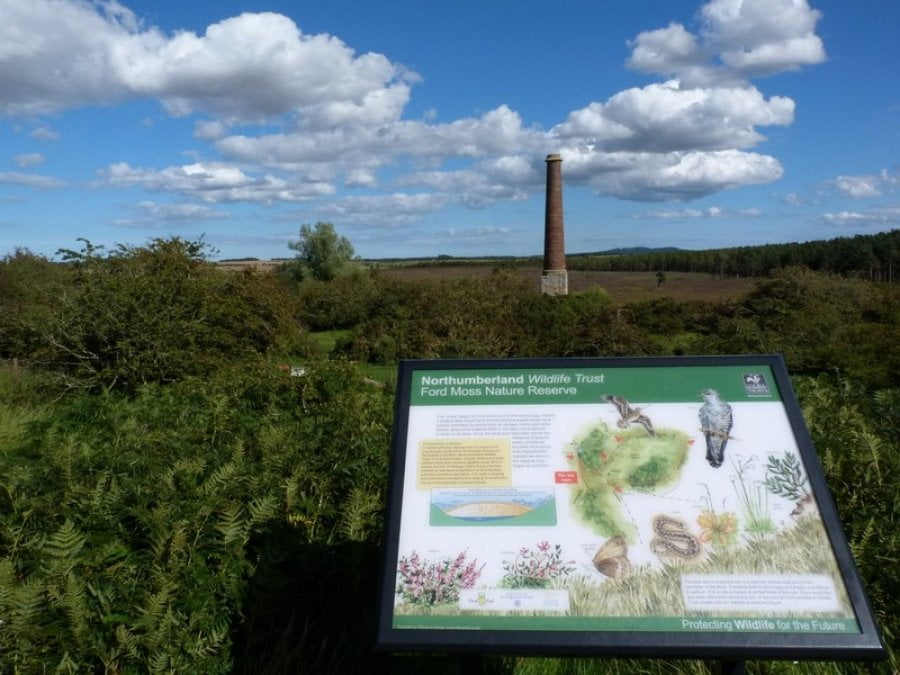 Ford Moss Nature Reserve and Colliery